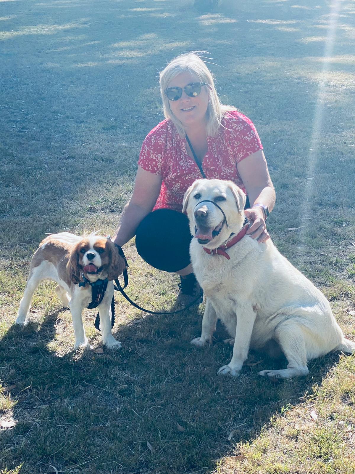 Walkies! | Camp Paws