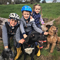 Homepage | Camp Paws